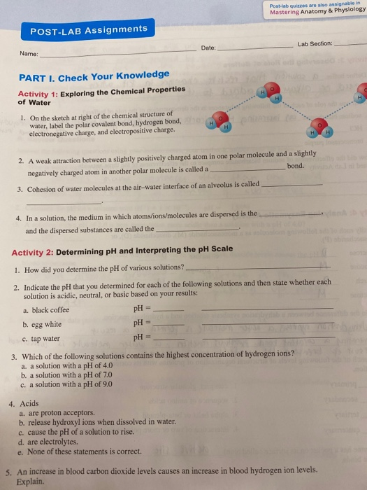 Solved Post Lab Quizzes Are Also Assignable In Mastering