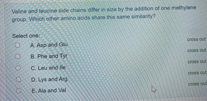 Solved Valine and leucine side chains differ in size by the | Chegg.com