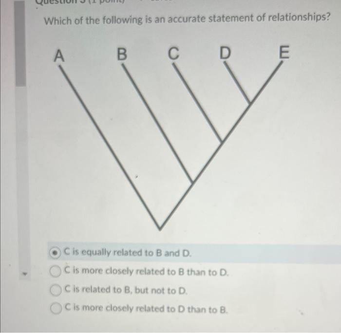 Solved Which of the following is an accurate statement of | Chegg.com