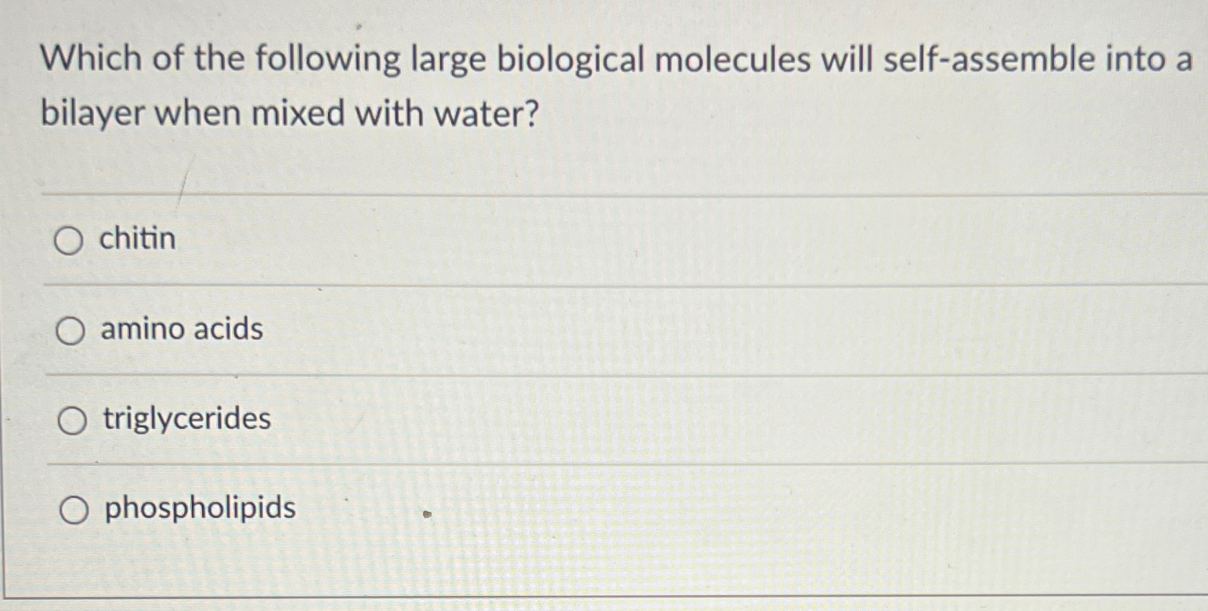 Solved Which of the following large biological molecules | Chegg.com
