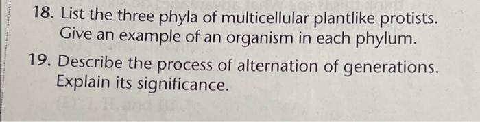 Solved 8. List the three phyla of multicellular plantlike | Chegg.com