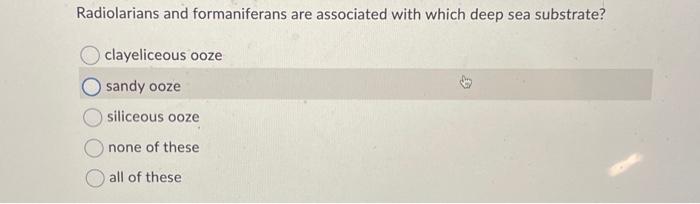 Solved Radiolarians and formaniferans are associated with | Chegg.com