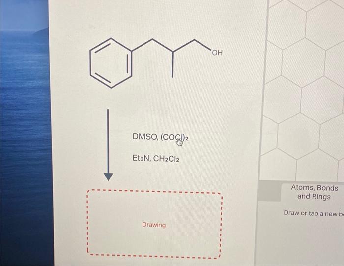 Solved DMSO, (COCl))2Et3 N,CH2Cl2 Atoms, Bonds and Rings | Chegg.com