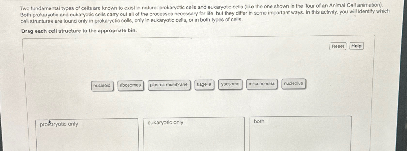 Solved Two fundamental types of cells are known to exist in | Chegg.com
