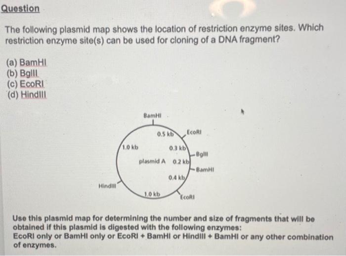 U с А G Serine (Ser) is coded by six codons, as shown | Chegg.com