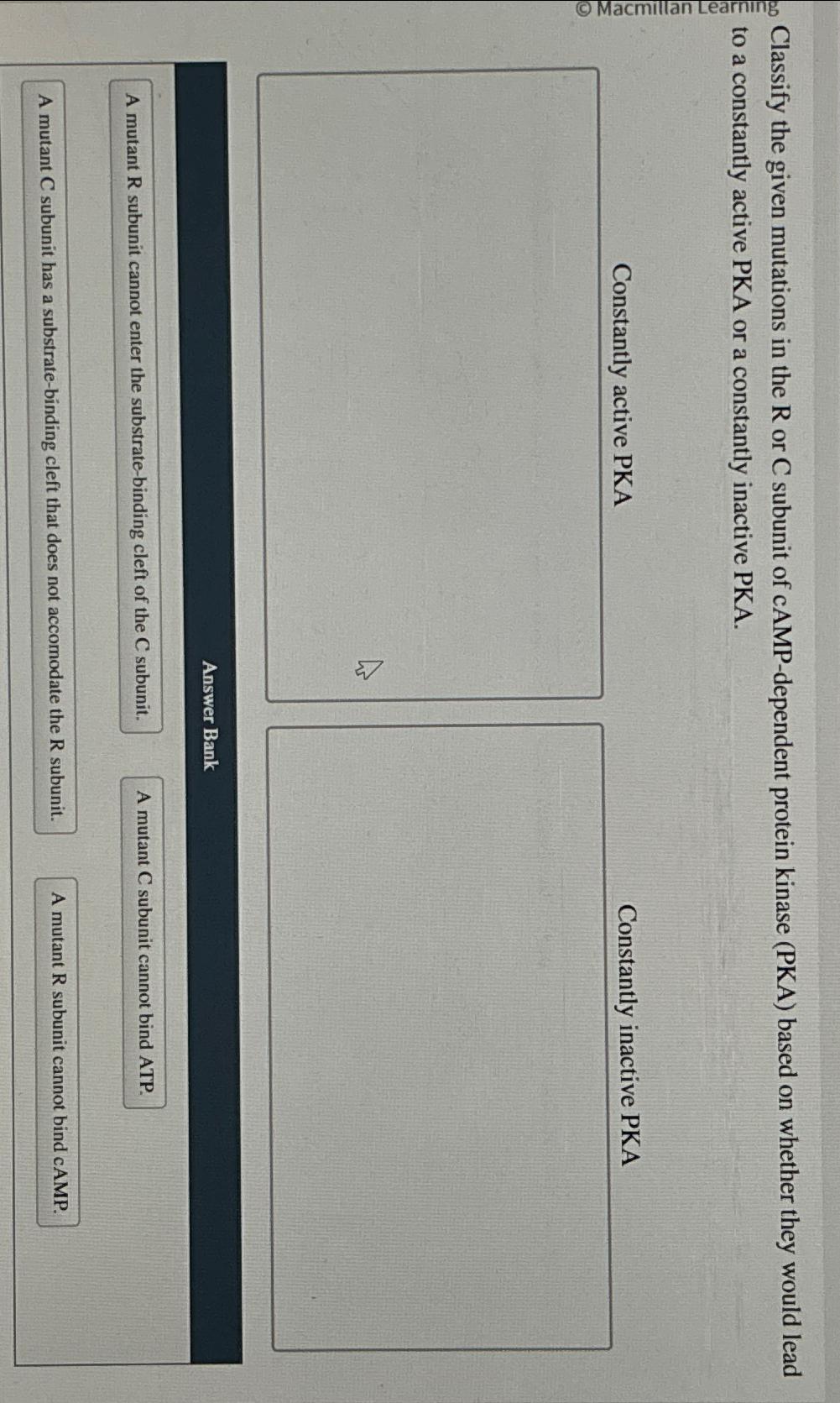 Solved Classify the given mutations in the R or C subunit of | Chegg.com