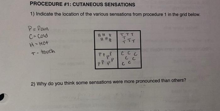 Solved Four independent modalities of cutaneous sensation | Chegg.com