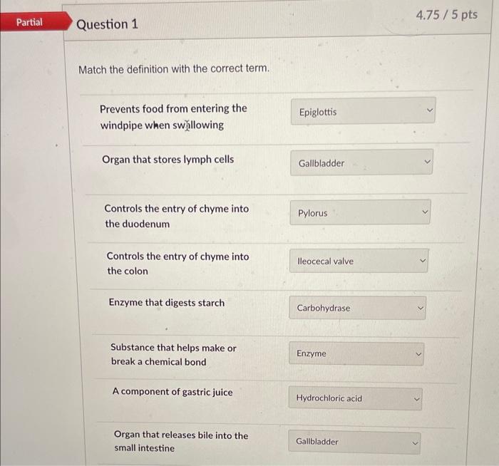 Solved Match the definition with the correct term. Prevents | Chegg.com