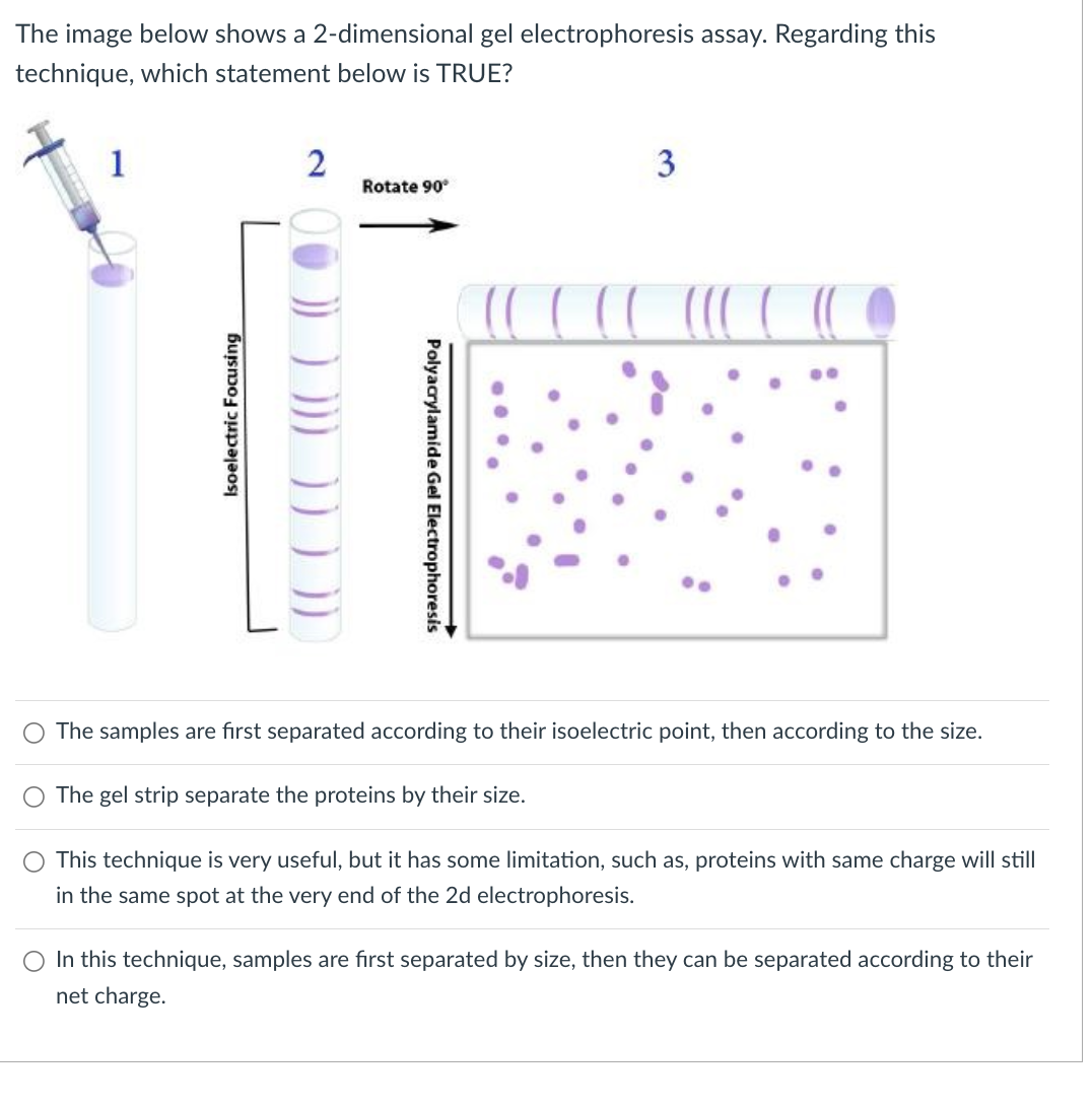 Solved The image below shows a 2-dimensional gel | Chegg.com