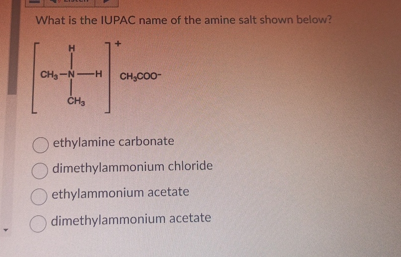 Solved What is the IUPAC name of the amine salt shown | Chegg.com