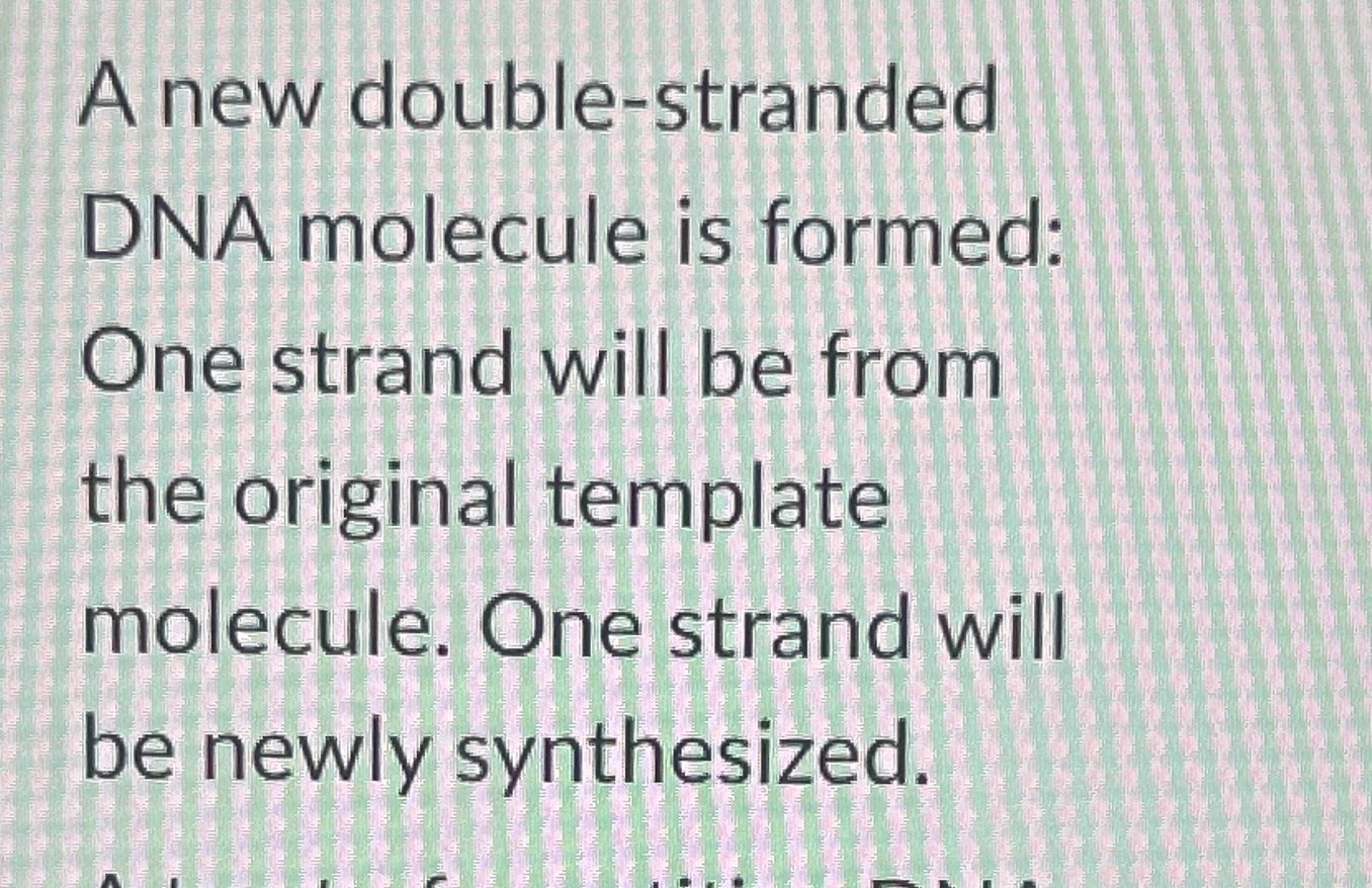 Solved A new double-stranded NA molecule is formed: ne | Chegg.com