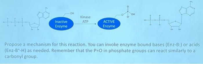 Solved propose mechanism. Identify the nucleophile, | Chegg.com Solved propose mechanism. Identify the nucleophile, | Chegg.com