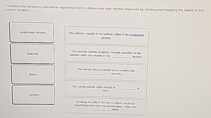 Solved Complete the following stotements regarding stretch | Chegg.com