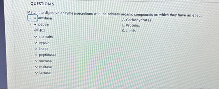 Solved QUESTION 5 Match the digestive enzymes/secretions | Chegg.com
