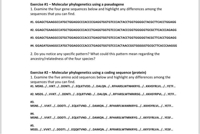Solved Exercise \#1 - Molecular phylogenetics using a | Chegg.com