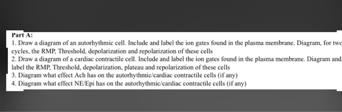 Solved Part A: 1. Draw a diagram of an autorhythmic cell. | Chegg.com