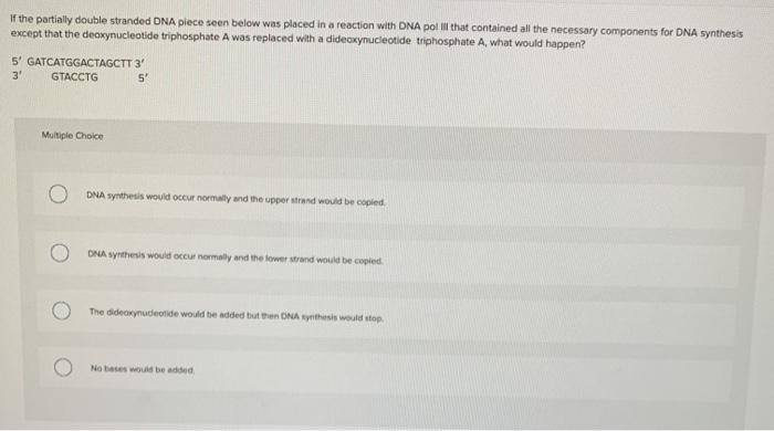 Solved If the partially double stranded DNA piece seen below | Chegg.com