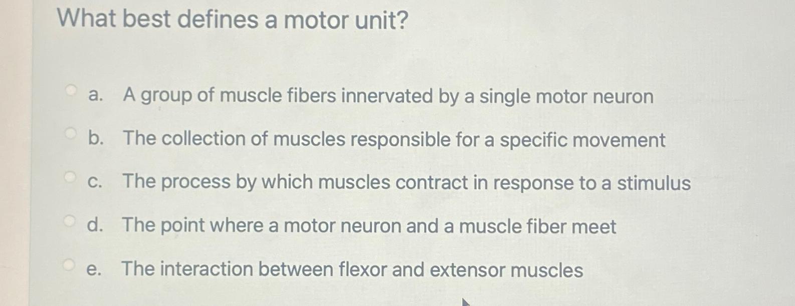 Solved What best defines a motor unit?a. ﻿A group of muscle | Chegg.com