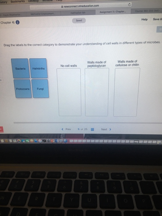 Solved: Istory Bookmarks Develop Www Newconnect.mheducatio... | Chegg.com