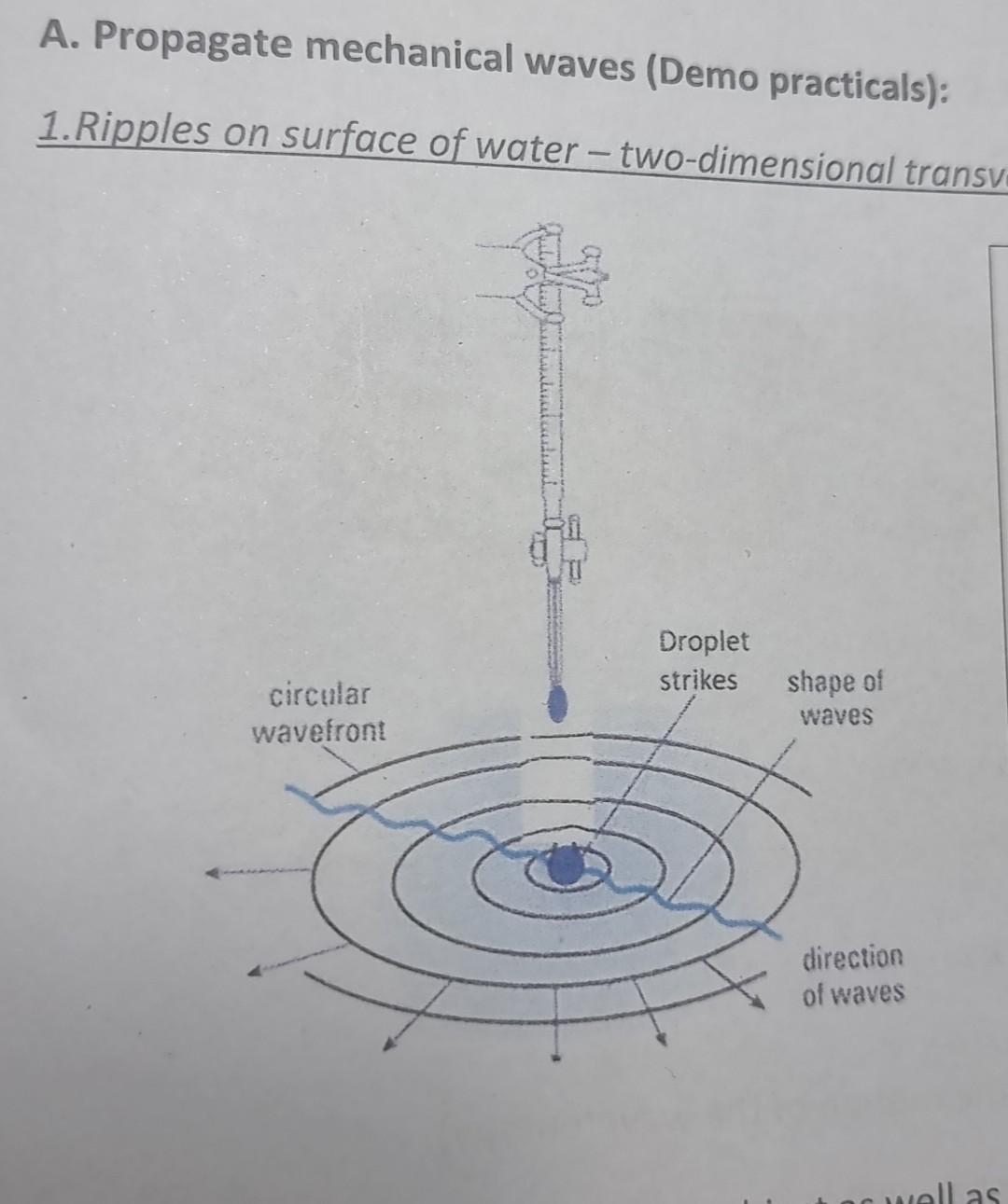 Solved A. Propagate mechanical waves (Demo practicals): 1. | Chegg.com