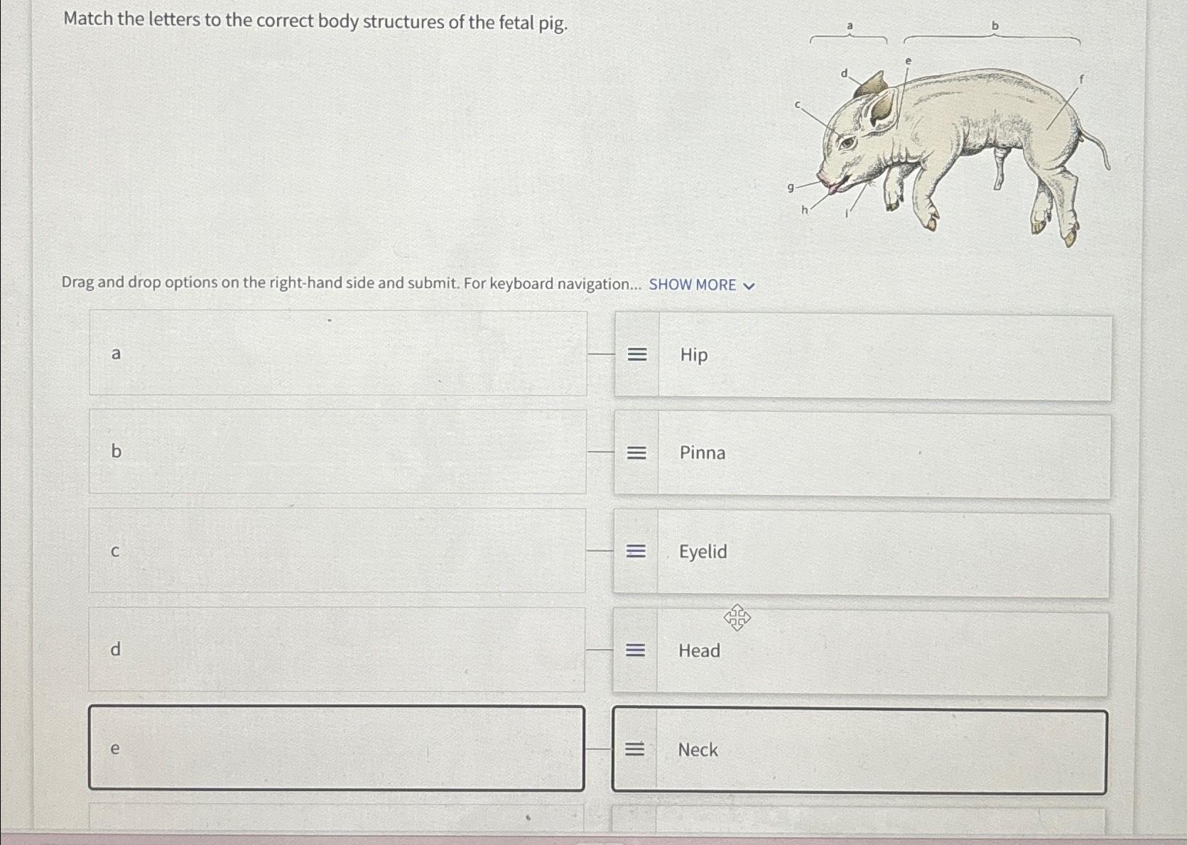Solved Match the letters to the correct body structures of | Chegg.com