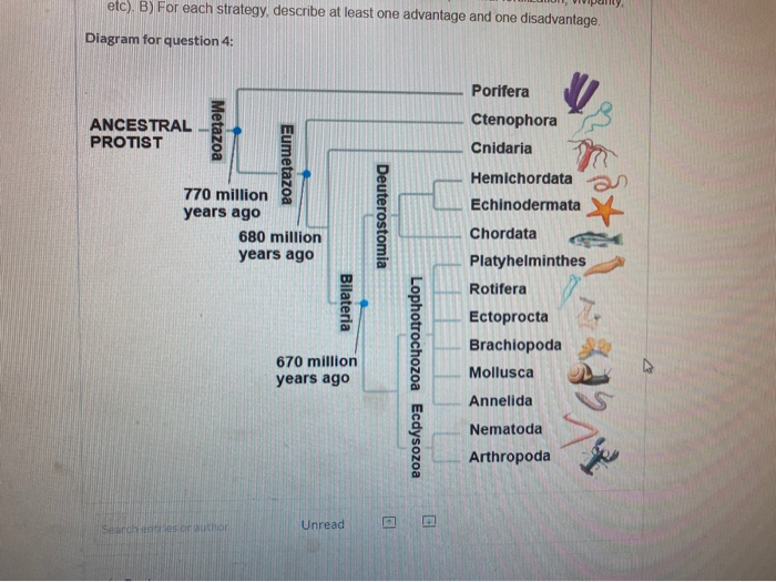 Solved In the phylogenetic tree below, indicate where the | Chegg.com