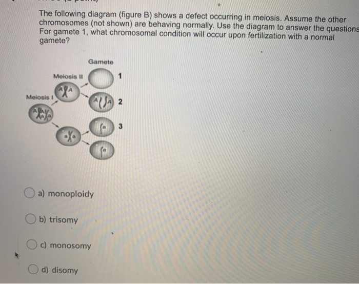Monosomy Diagram