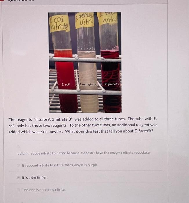 Solved The reagents, "nitrate A \& nitrate B " was added to | Chegg.com