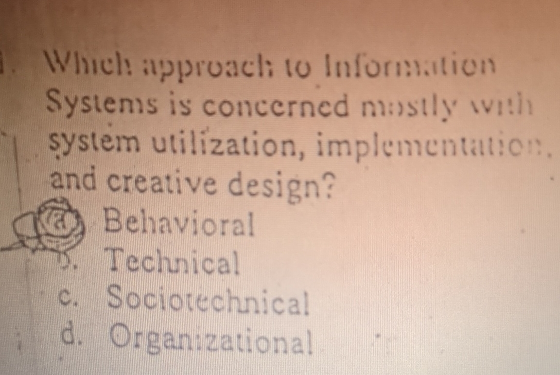Solved Whel: approach 10 ﻿Information Systems is concerned | Chegg.com