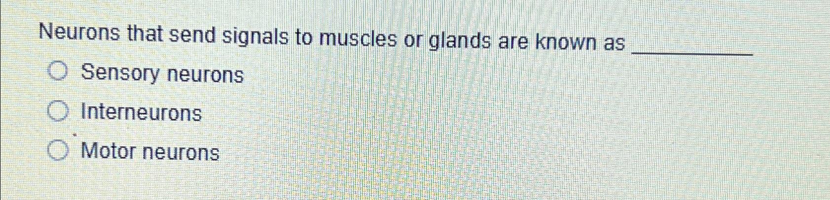 Solved Neurons that send signals to muscles or glands are | Chegg.com