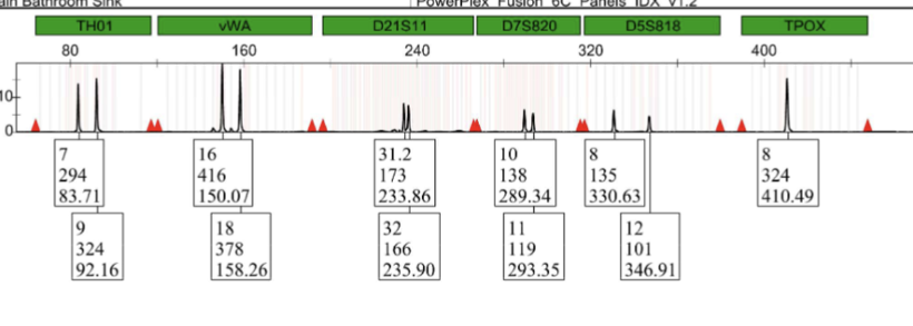 Solved At the ‘TPOX’ locus, is allelic dropout likely or is | Chegg.com