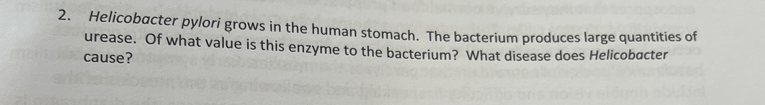 Solved Helicobacter pylori grows in the human stomach. The | Chegg.com