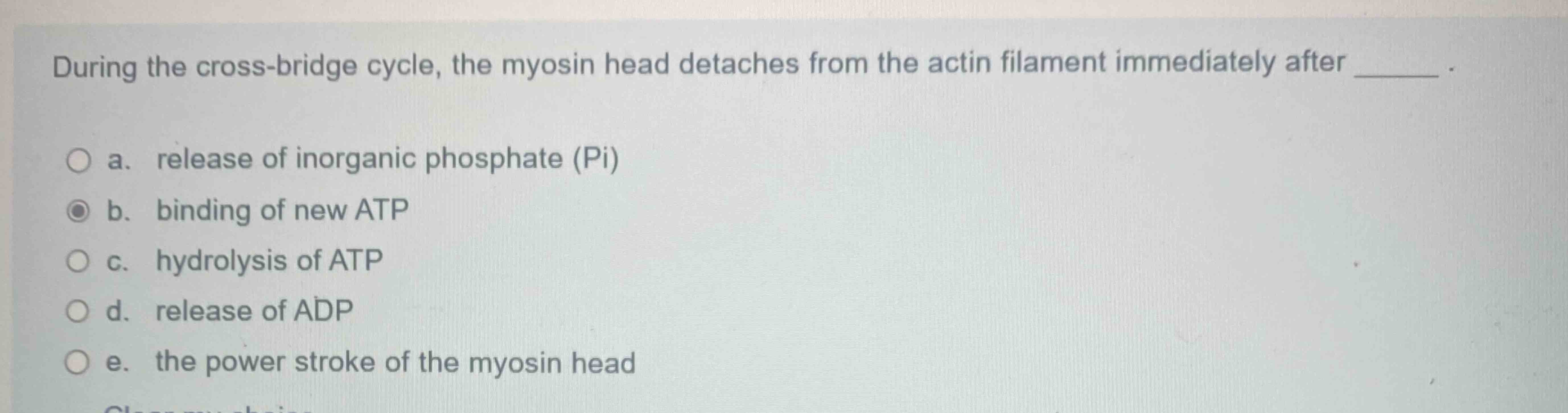 During the cross-bridge cycle, the myosin head | Chegg.com