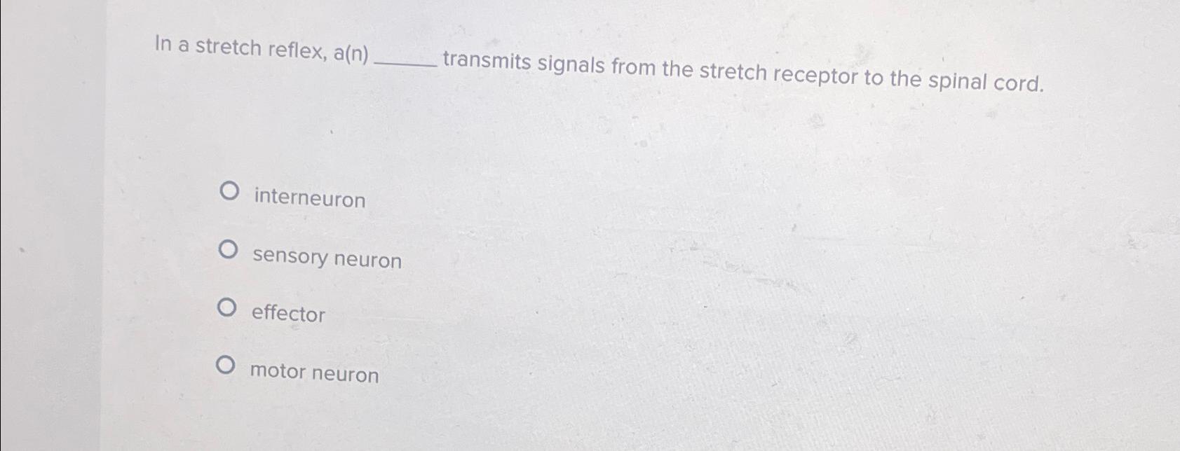 In a stretch reflex, a(n) ﻿transmits signals from the | Chegg.com