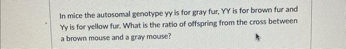 Solved In mice the autosomal genotype yy is for gray fur, YY | Chegg.com