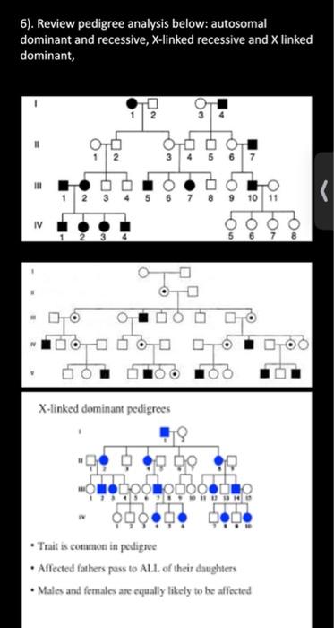 Solved 6). Review pedigree analysis below: autosomal | Chegg.com