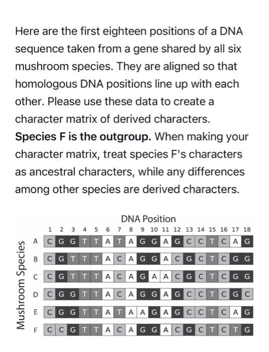 Solved Go back to your character matrix and add all derived | Chegg.com