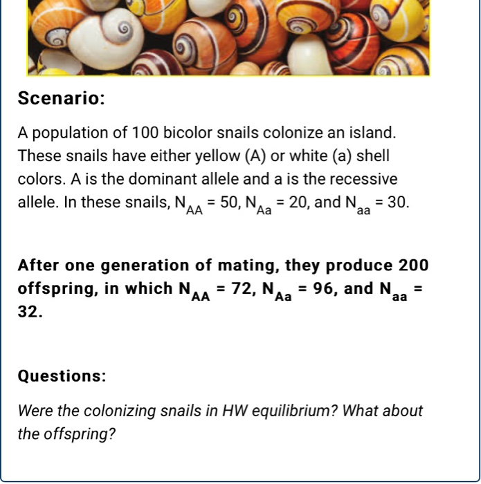 Solved Scenario: A population of 100 bicolor snails colonize | Chegg.com