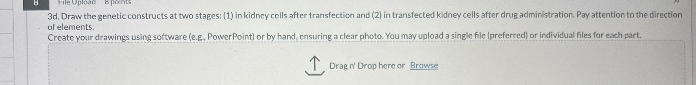 Solved 3d. ﻿Draw the genetic constructs at two stages: (1) | Chegg.com