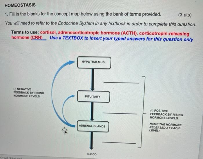 Solved HOMEOSTASIS 1. Fill in the blanks for the concept map | Chegg.com