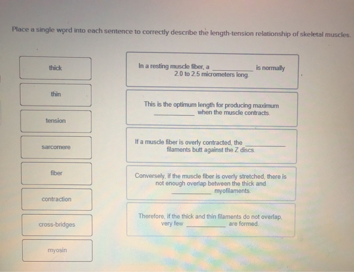 Solved Place a single word into each sentence to correctly | Chegg.com