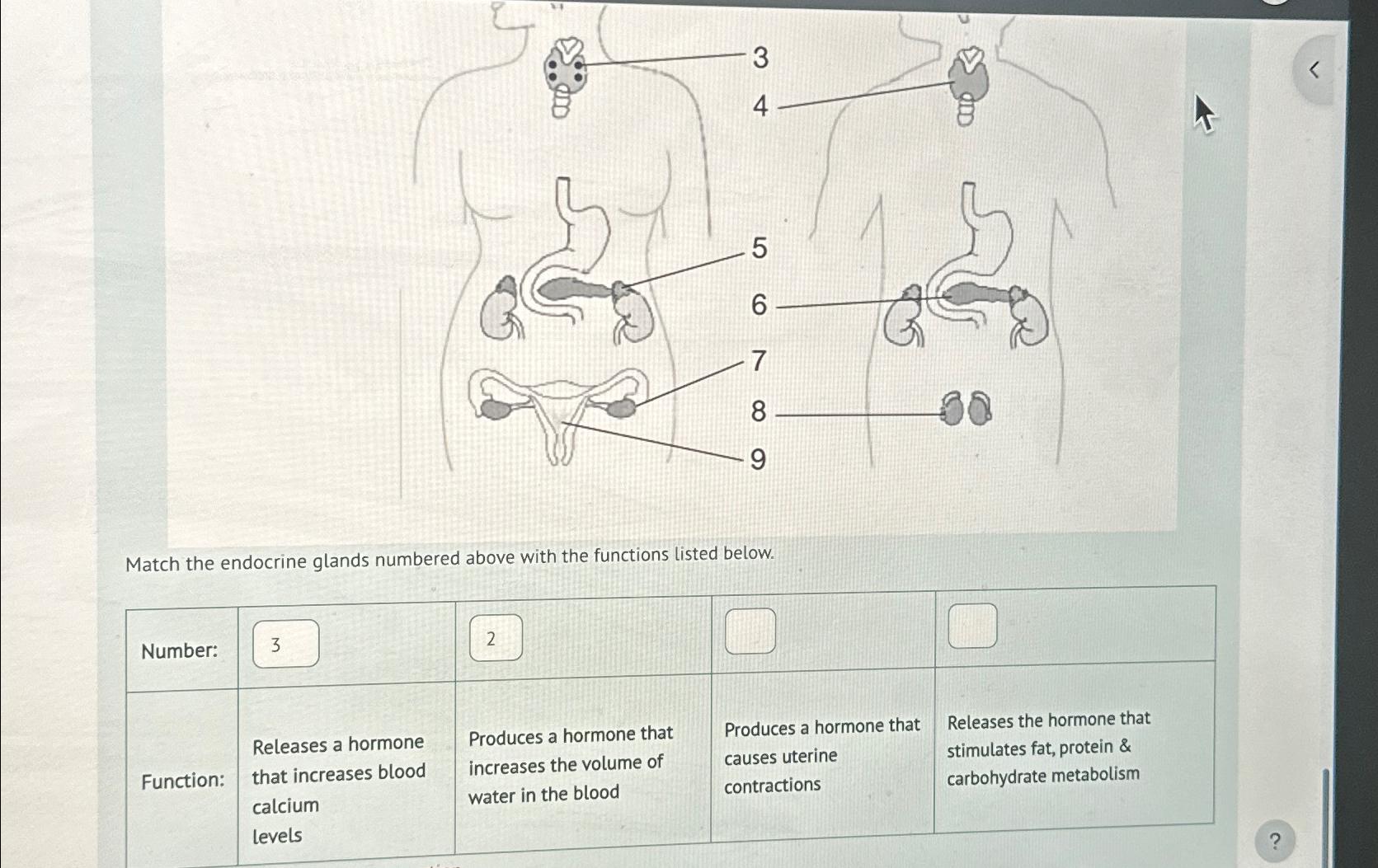Solved Match the endocrine glands numbered above with the | Chegg.com