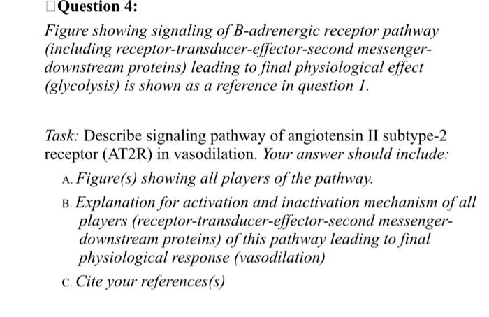 Solved Figure showing signaling of B-adrenergic receptor | Chegg.com