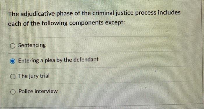 Solved The adjudicative phase of the criminal justice | Chegg.com
