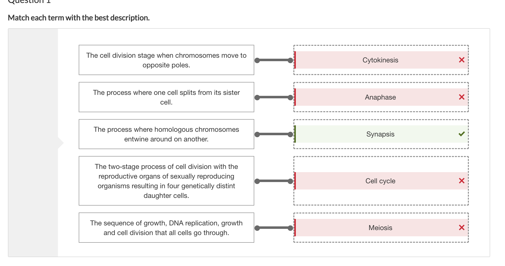 Solved Match each term with the best description. mmmi | Chegg.com