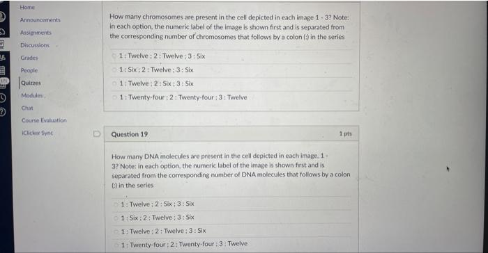 Solved Questions 16−19 (inclusive) refer to the images shown | Chegg.com