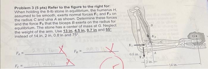 Solved Problem 3(5pts) Refer to the figure to the right for: | Chegg.com
