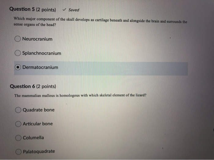 Solved Question 5 (2 points) Saved Which major component of | Chegg.com