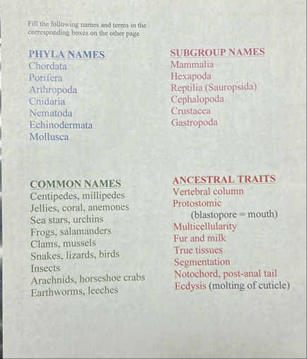 Solved Fill the following names and terms in the | Chegg.com