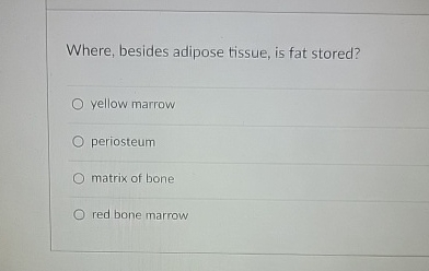 Solved Where, besides adipose tissue, is fat stored?yellow | Chegg.com